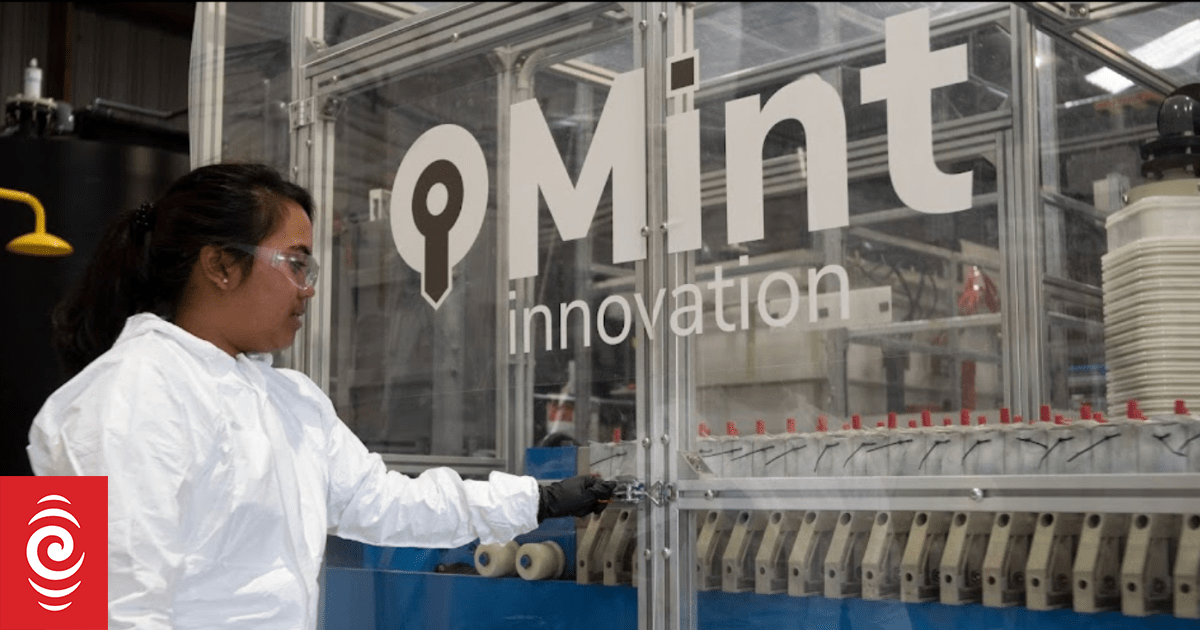 Mint recognised by World Economic Forum | RNZ