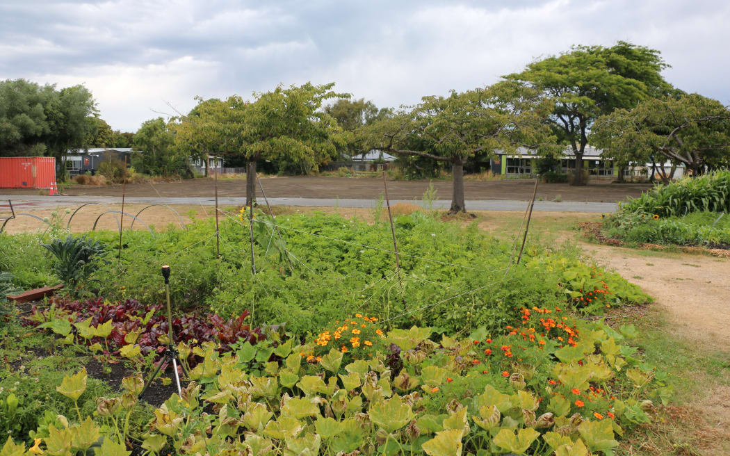 Green learning hub grows on red zone land | RNZ