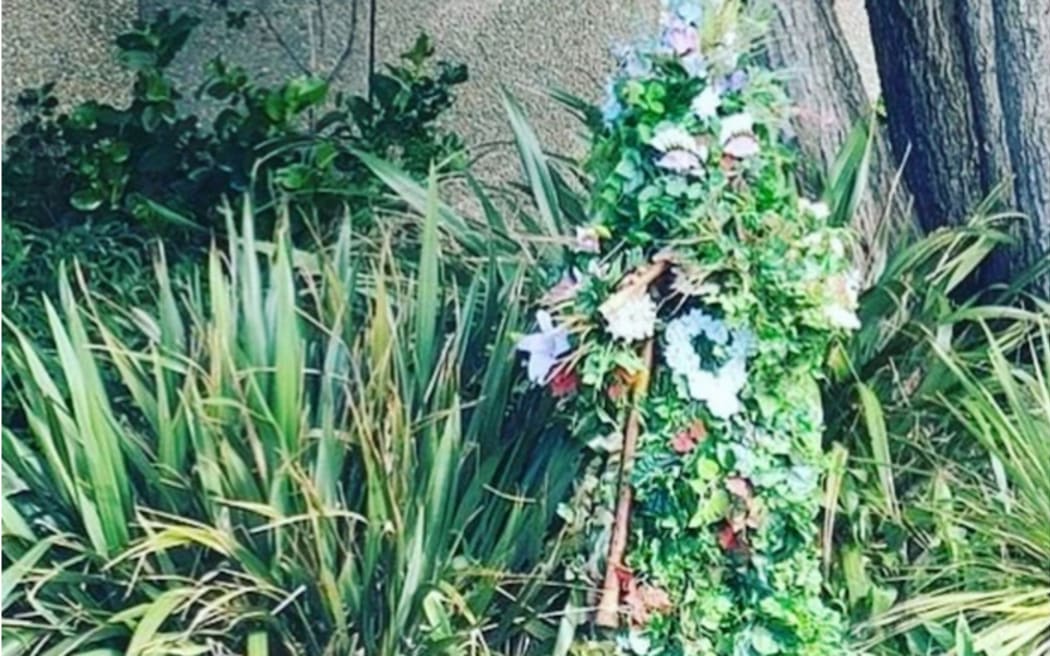 Behind Wellington's 'tree guy', Jarrod Wood | RNZ