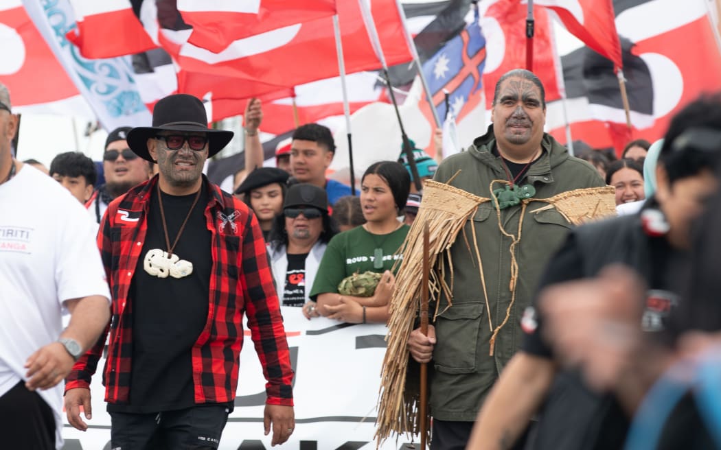 More than 3000 join Māori electoral roll after Treaty hīkoi | RNZ News