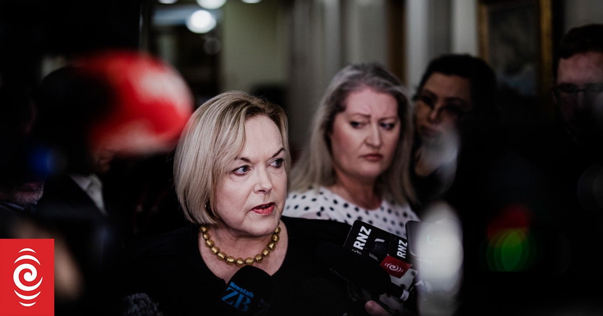 Judith Collins believes ex-MP Andrew Falloon 'lied' over indecent image ...