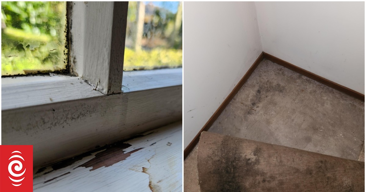 'They clearly don't really care' - Auckland renter paying for mouldy ...