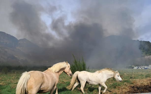 Almost 30 cars damaged in fire at Canvastown property linked to cold ...