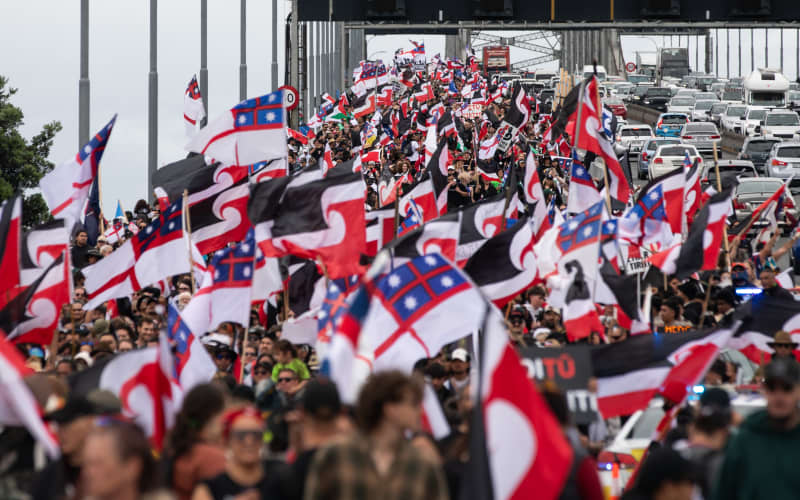 Hīkoi mō Te Tiriti: A year on from one of Aotearoa's largest protest ...