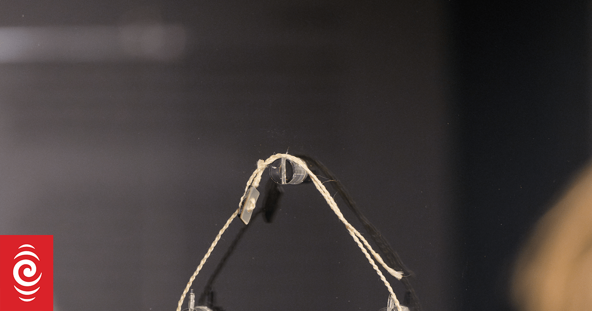 Making lace from muka: Rowan Panther in Te Tai Tokerau | RNZ