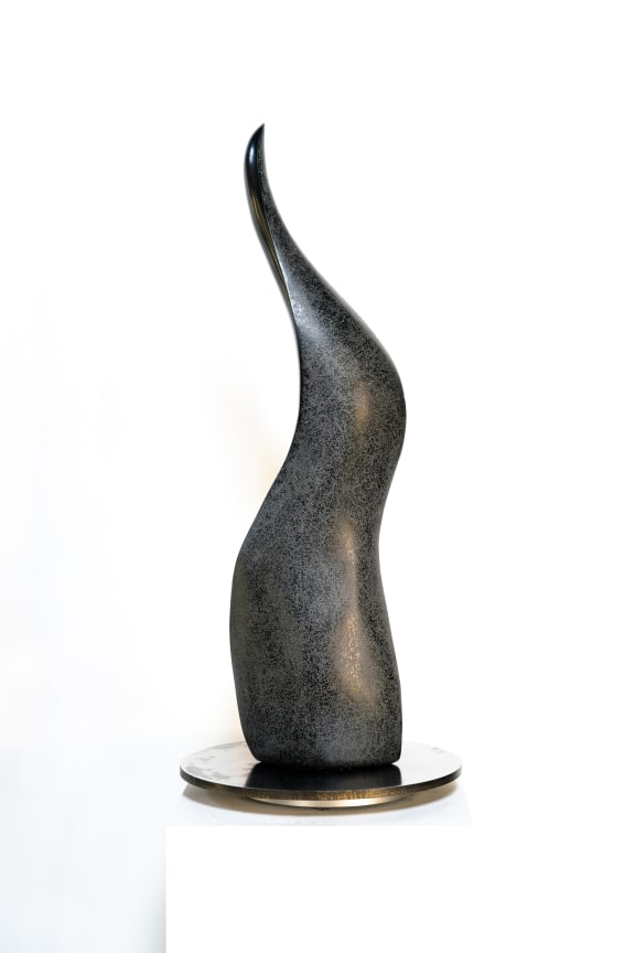 Sculptor Shane Woolridge inspired by stone | RNZ