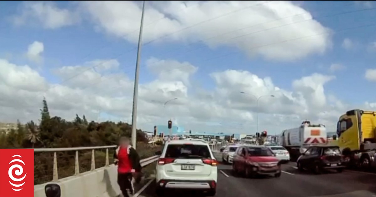 Man hospitalised after being shot by police on West Auckland motorway ... Man hospitalised after being shot by police on West Auckland motorway ...