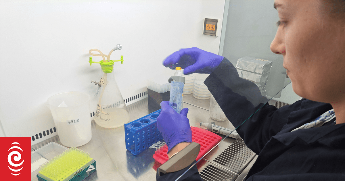 Dairy without the cow? Auckland food-tech startup explains how | RNZ News