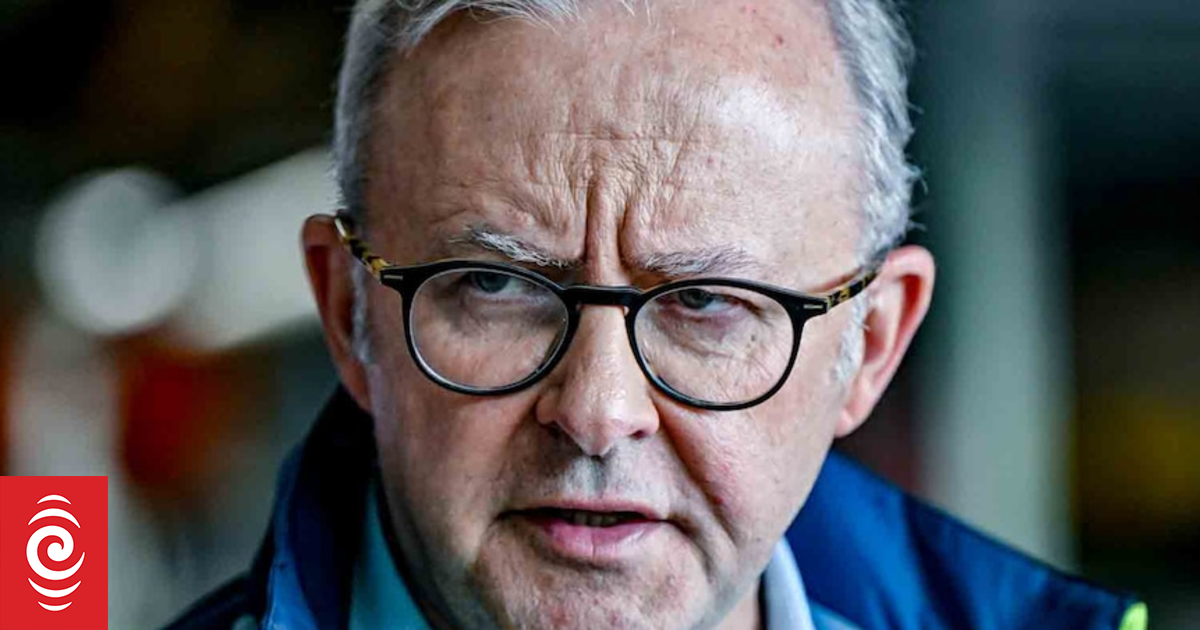 Anthony Albanese invokes 'Team Australia' in pitch to buy local after ...