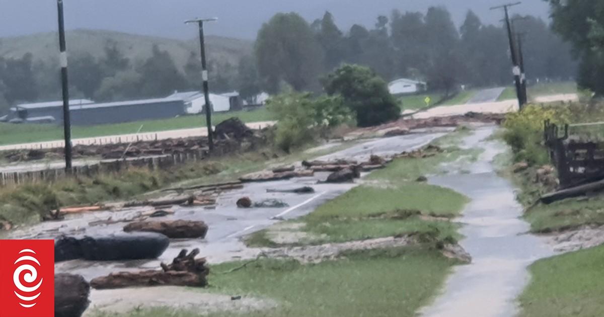 Cyclone Gabrielle: Forestry industry backs inquiry into slash | RNZ