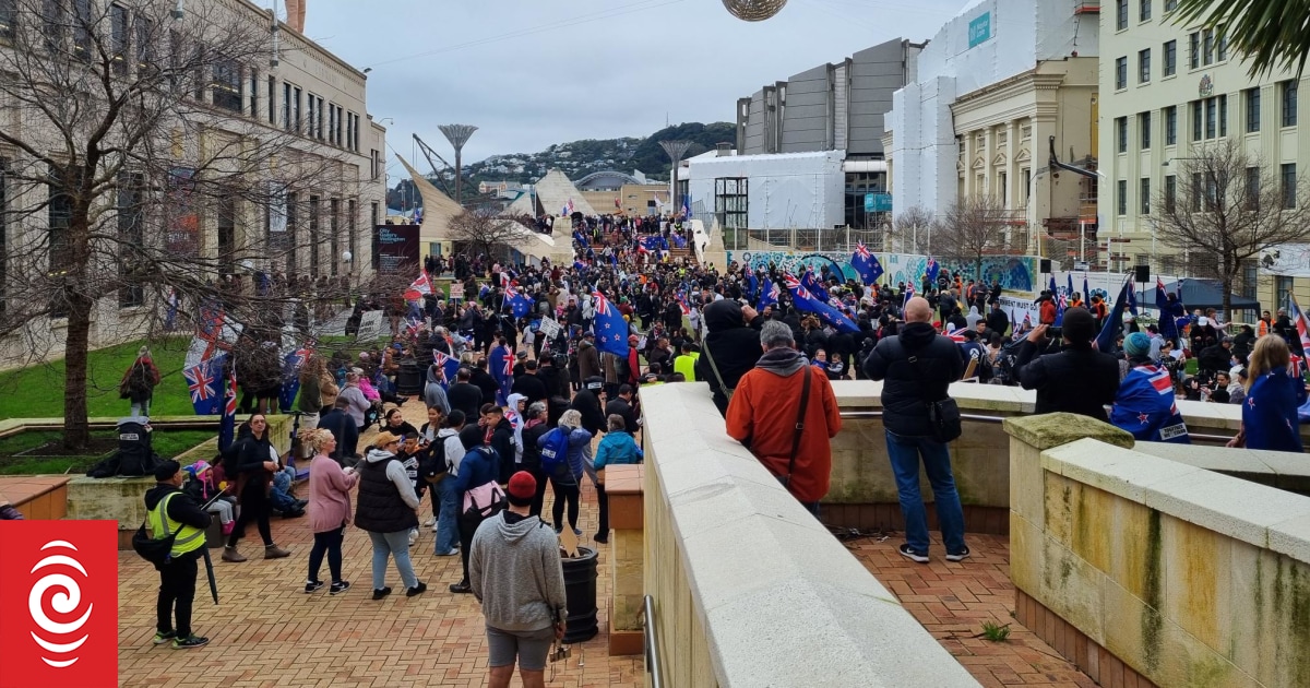 Protestors gather at Civic Square | RNZ