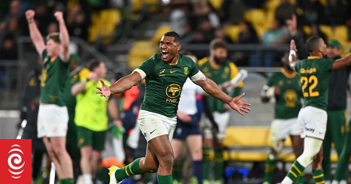 'One of the most historic wins in Bok rugby' - former coach on record ...
