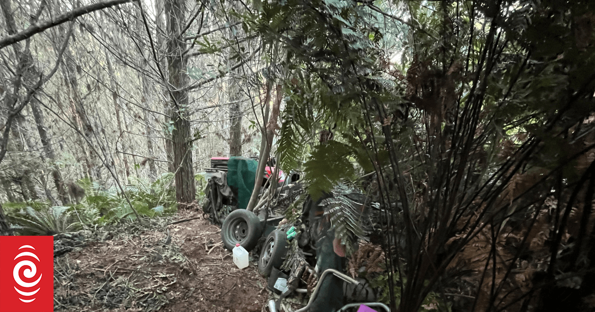 Police hunt Tom Phillips accomplices after 'stockpile of firearms ...