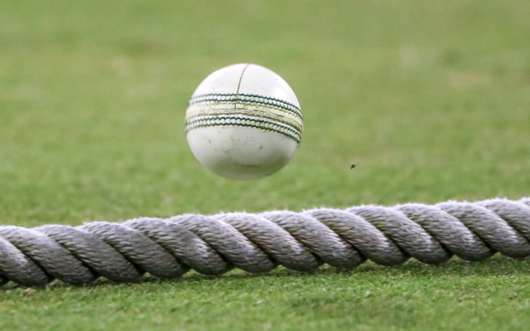 Indonesian off spinner claims best T20 international figures | RNZ News