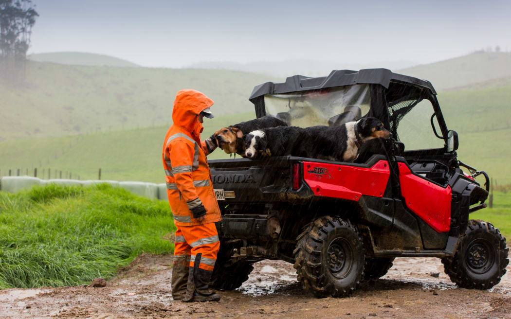 Pāmu replaces quad bikes on all its farms after deaths | RNZ News