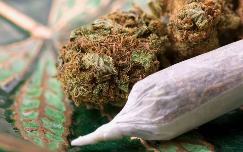 NZ government needs to be courageous on drug laws - criminologist | RNZ