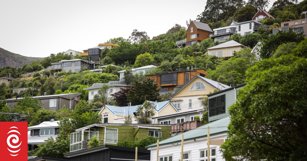 Freeing up land the only way to reduce house prices - economist | RNZ
