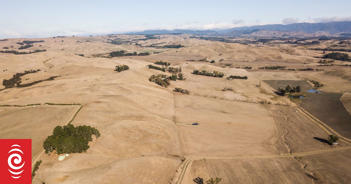 Midday Rural News for 11 September 2023 | RNZ