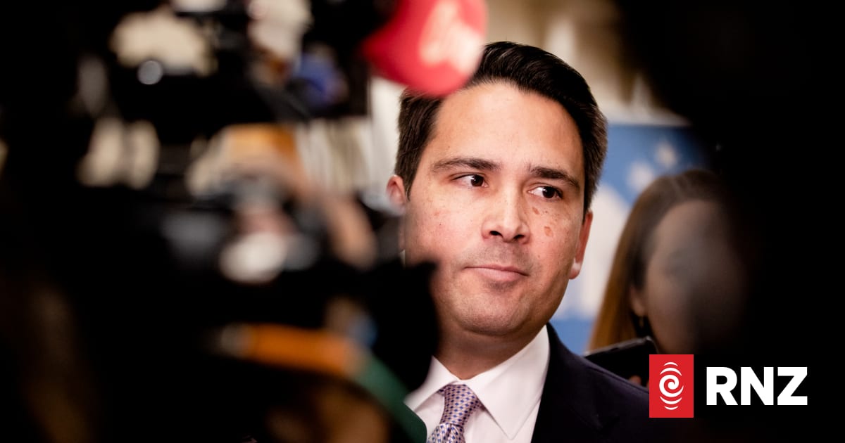 Party leaders polls apart on euthanasia bill referendum | RNZ