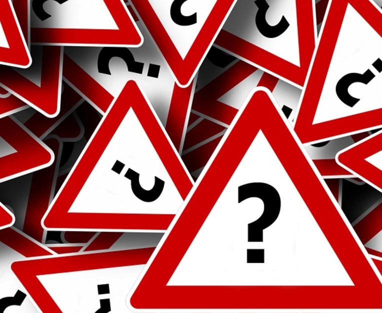 Questions so many questions | RNZ