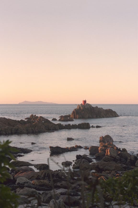 Artist Emily Parr is inspired by the sea | RNZ