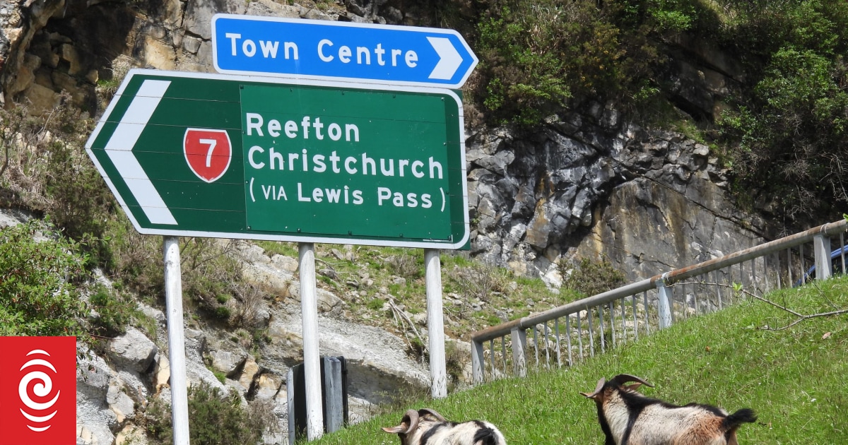 The Panel with Zoe George and Stephen Franks (Part 2) | RNZ