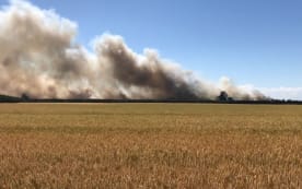 Rolleston fire | A Gallery from News | RNZ