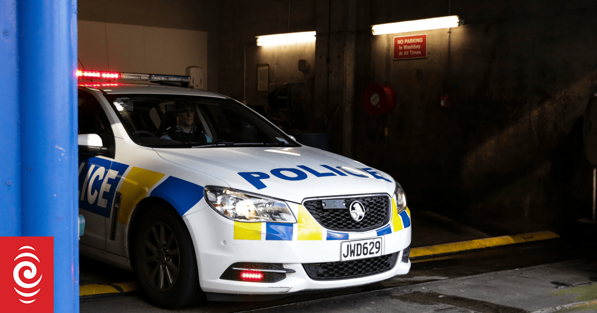 Teen faces multiple charges after fleeing police | RNZ News