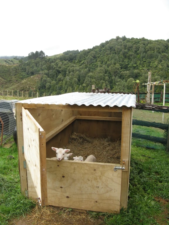 Relda Greenhalgh’s farm | A Gallery from Country Life | RNZ National