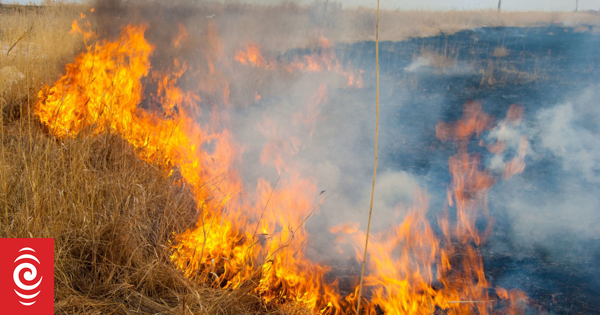 Firefighters warn of high fire risk in South Island | RNZ