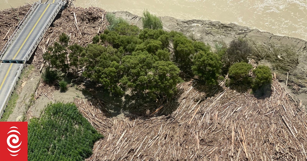 Forestry slash: some possible solutions | RNZ