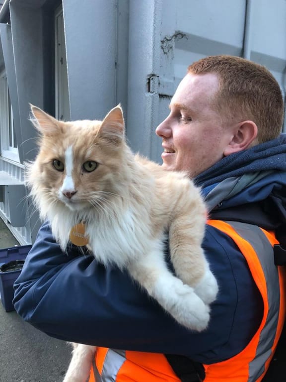 Mittens the cat with the keys to Wellington City | A Gallery from ...