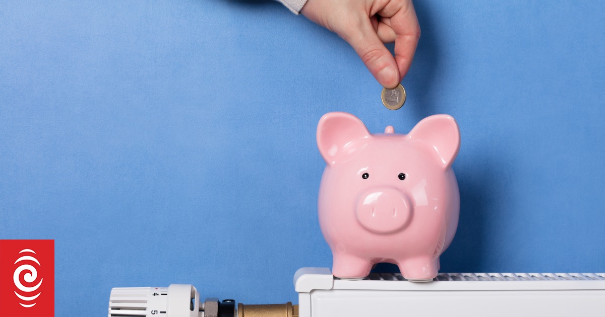 The Panel with Ruth Money and Allan Blackman (Part 2) | RNZ