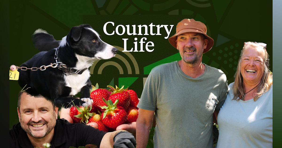 Country Life for Friday 23 December 2022 Country Life | RNZ
