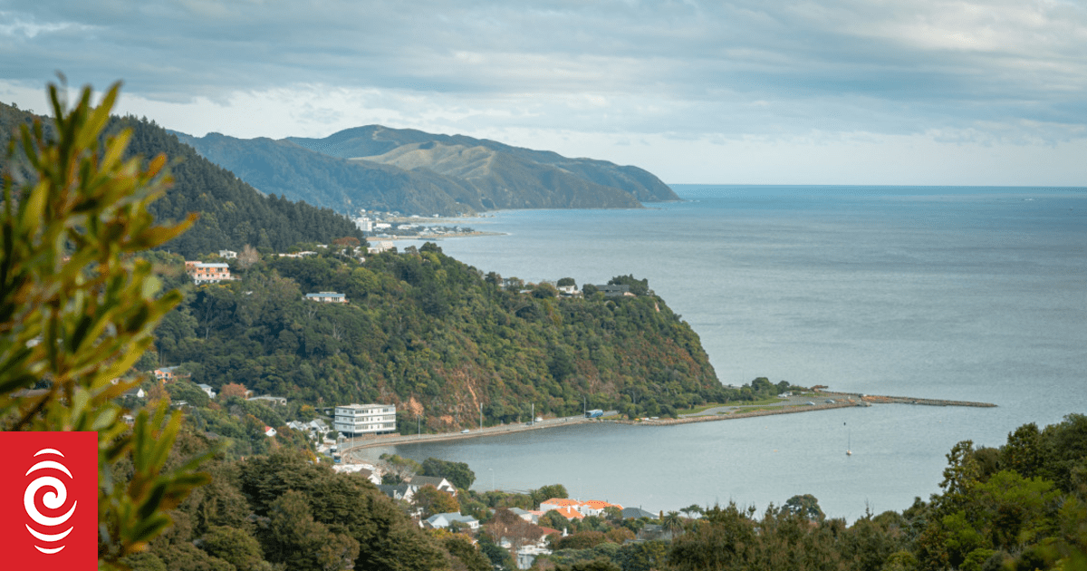 Body found in water near Eastbourne | RNZ News