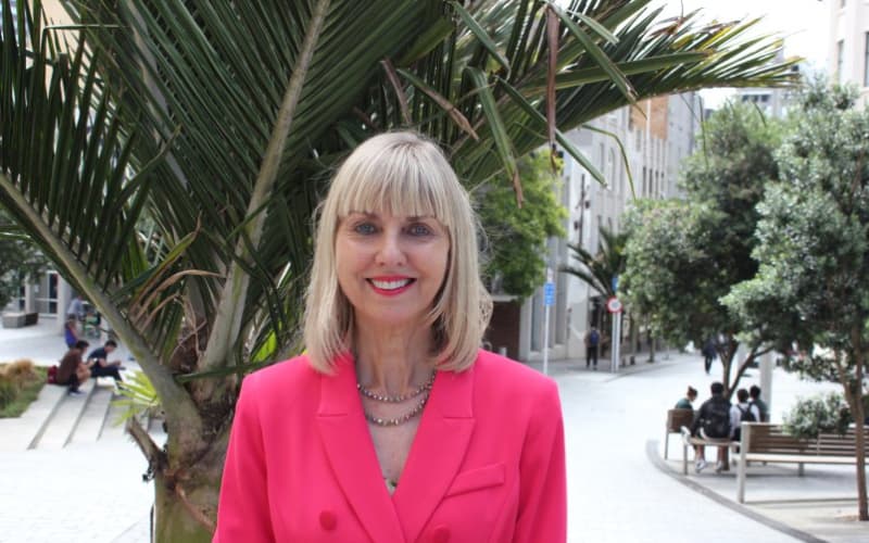 Auckland businesses call for meeting over treatment of Heart of the ...