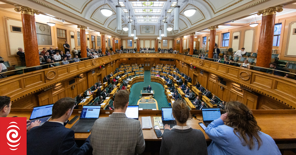 Press Gallery 101: The House chats with Jason Walls | RNZ News