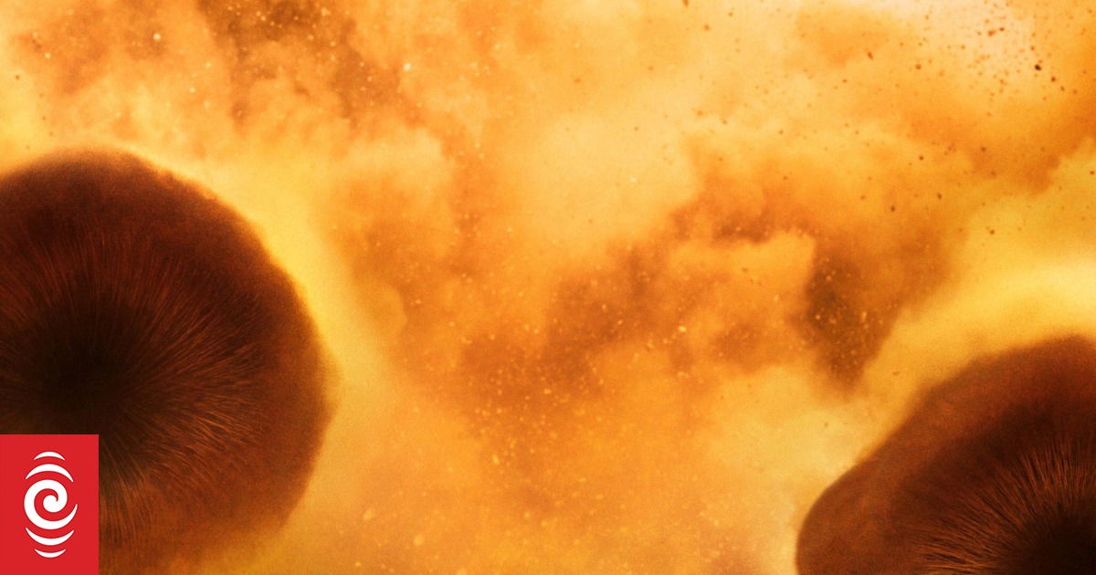 The real-life cousins of Dune’s magnificent sandworms | RNZ