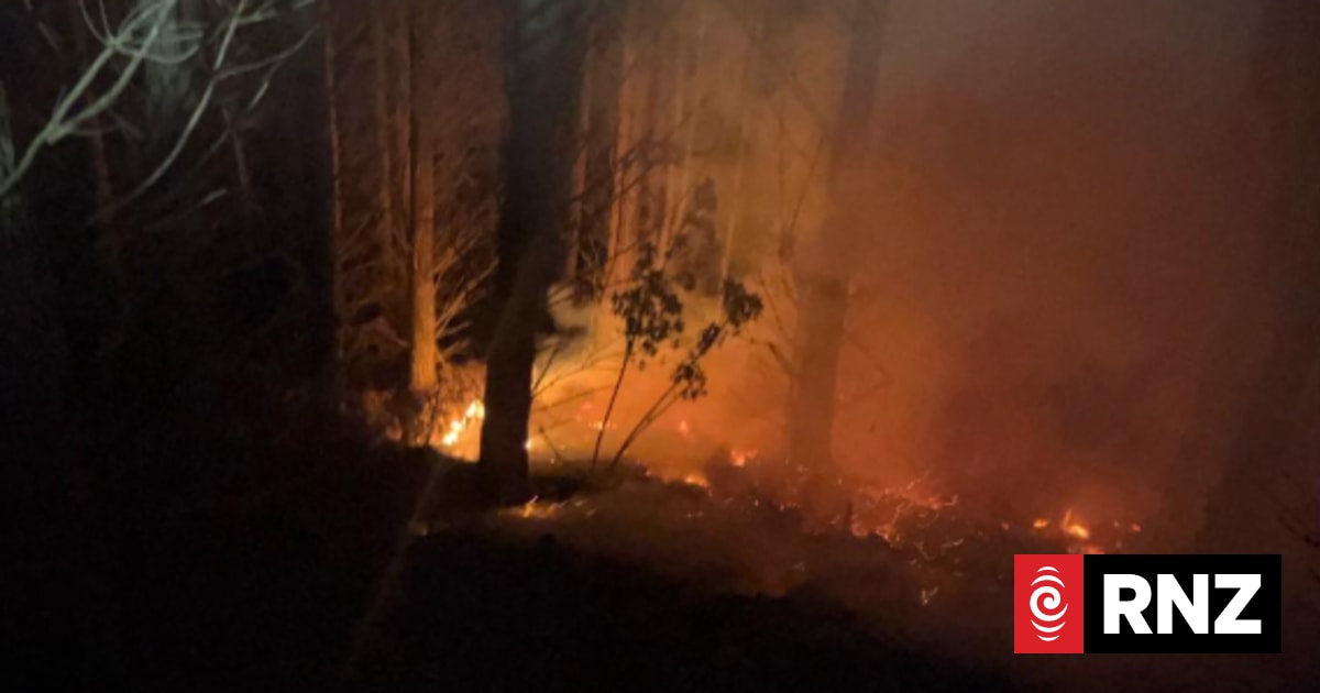 Forest fire near Whanganui spreads to more than 100 hectares | RNZ