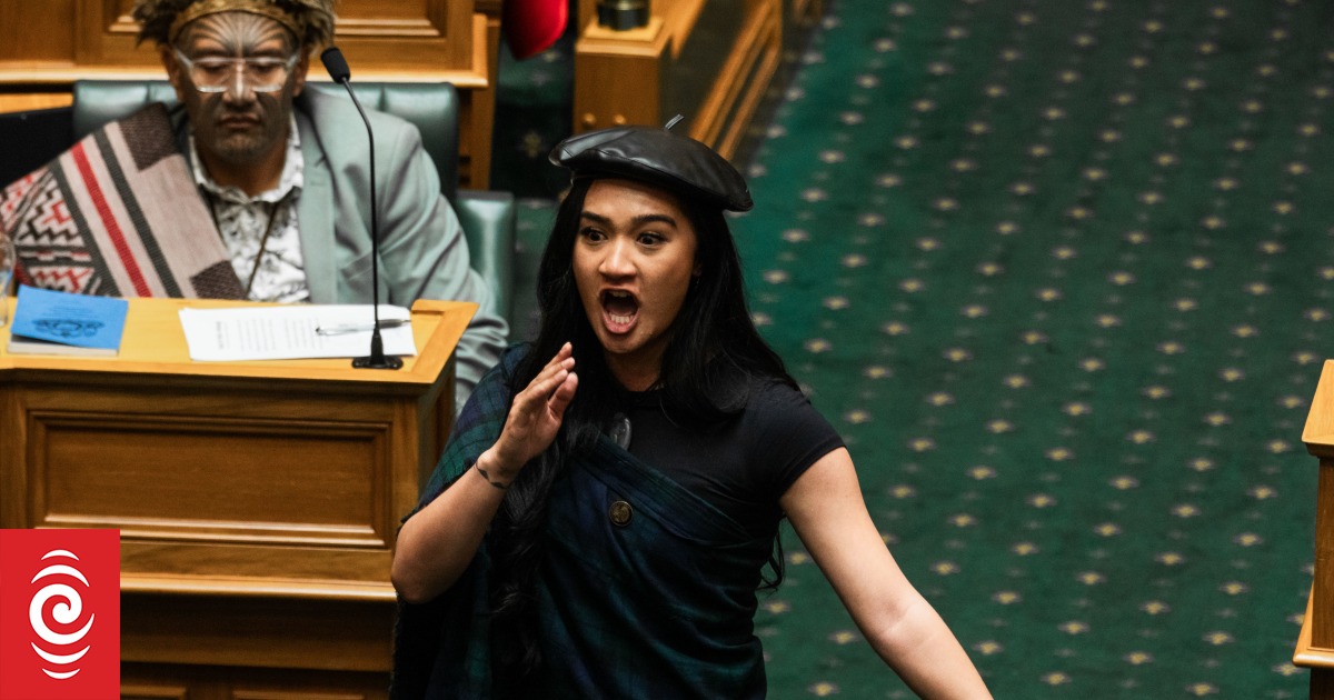 New Te Pāti Māori MPs make defiant debut speeches | RNZ News