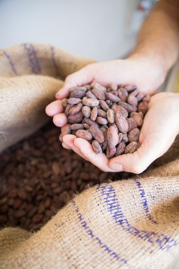 Hogarth Craft Chocolate | A Gallery from Nine To Noon | RNZ National
