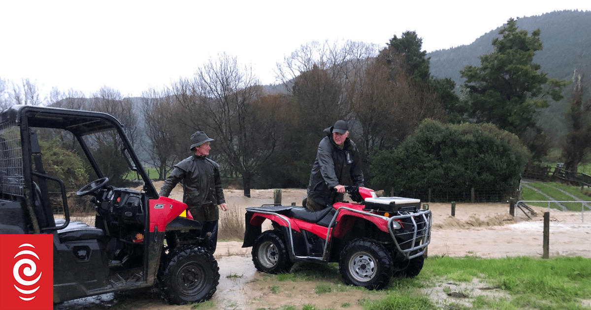 Country Life: On the Farm | RNZ News