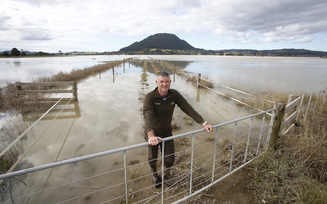 Hikurangi Swamp farmers aim to set up trust to helm $50 million council ...