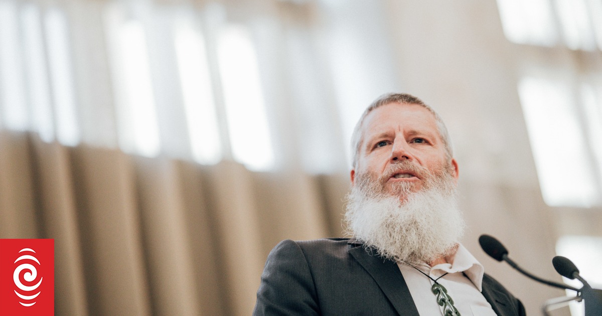 Oversupply of units rendering ETS ineffective - Rod Carr | RNZ