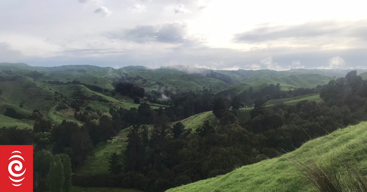 Rangitikei electorate up for grabs, but do locals know their options? | RNZ