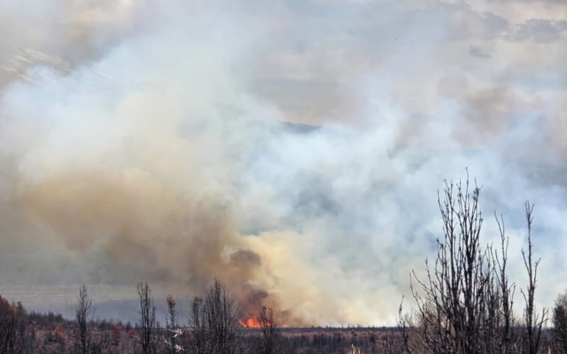 Firefighters fear wind change could cause 322ha Tongariro blaze to ...