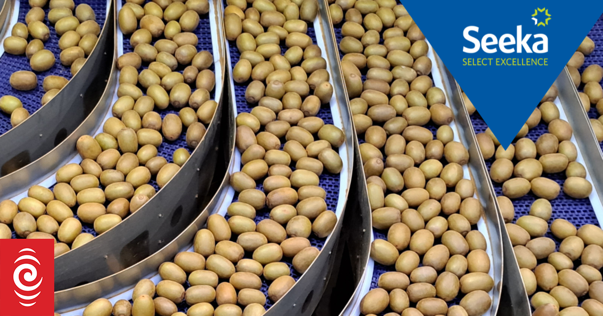 Bumper kiwifruit crop boosts Seeka profits 63% | RNZ News