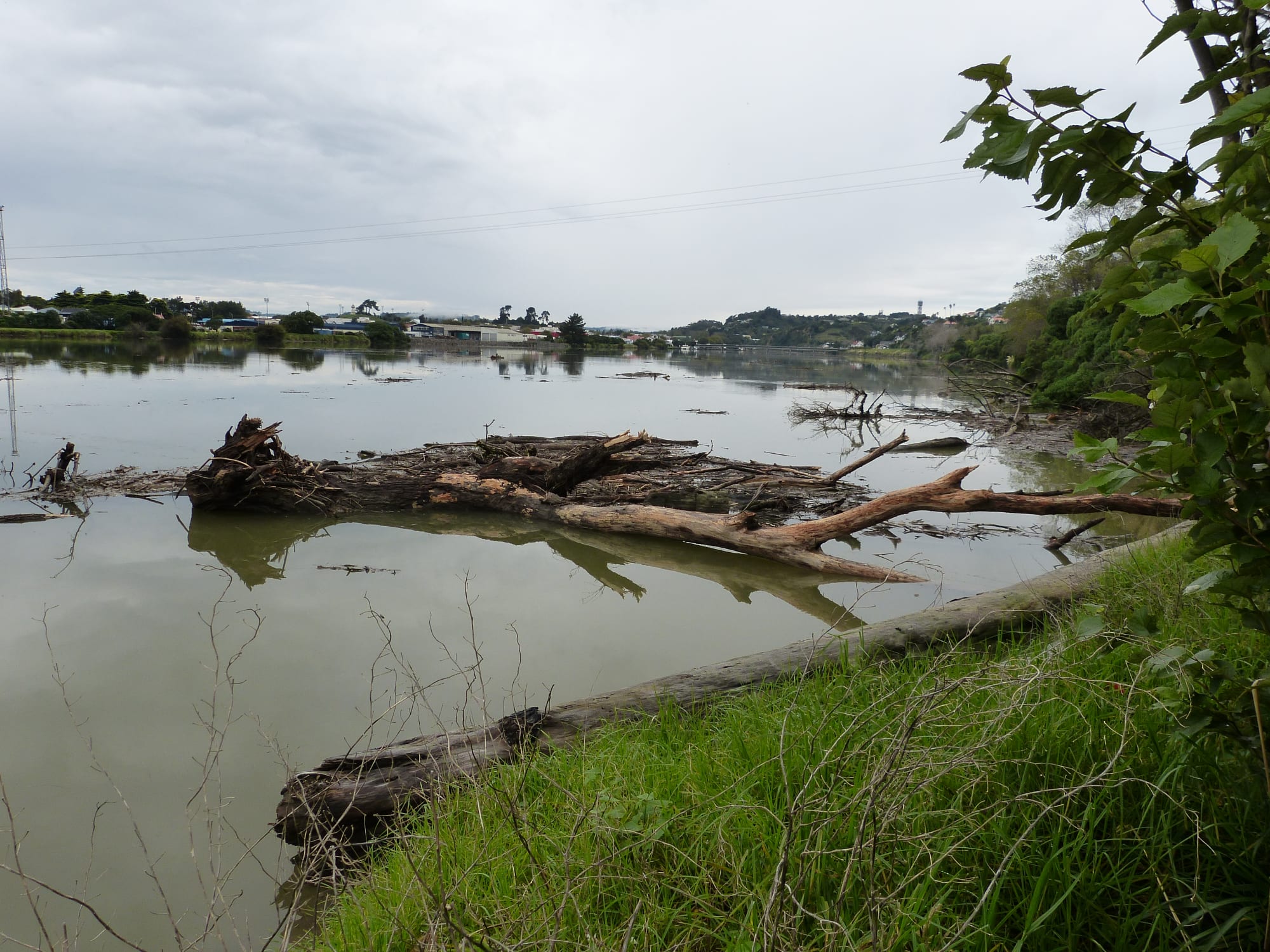Water Fools? - The river is me | RNZ