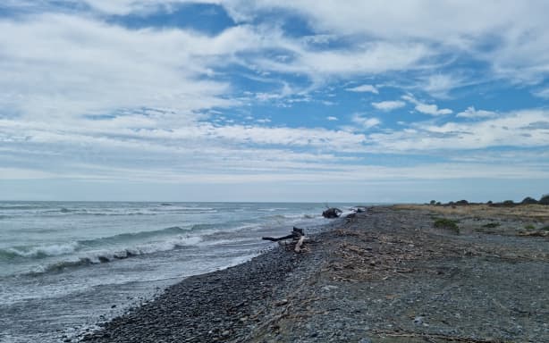 Marlborough iwi Rangitāne o Wairau now responsible for Te Pokohiwi o ...