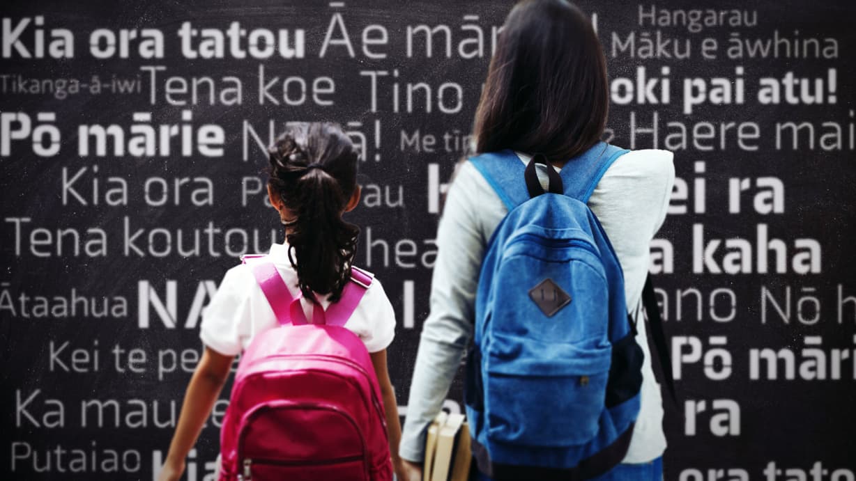Racism in schools: Calls for cultural competency in the classroom | RNZ